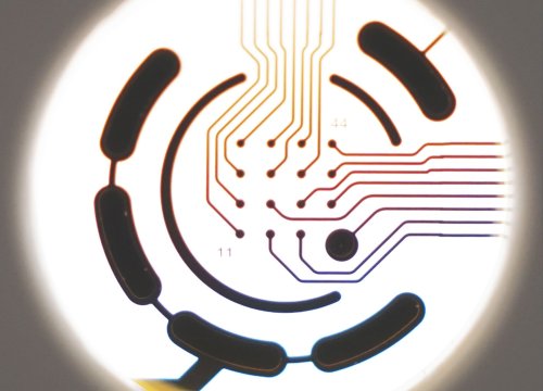 BrainPhys Neuronal Medium for Improved Neuronal Function | Axion Biosystems